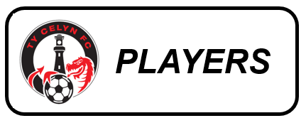 Club Survey – Have your Say – Ty Celyn Junior Football Club